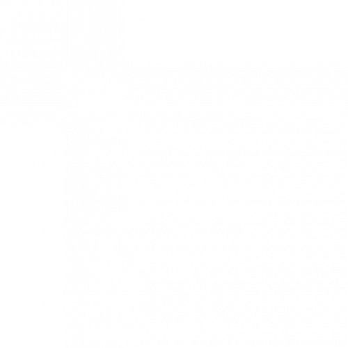 Organic Desiccated Coconut Threads - Ceylon Kokonati