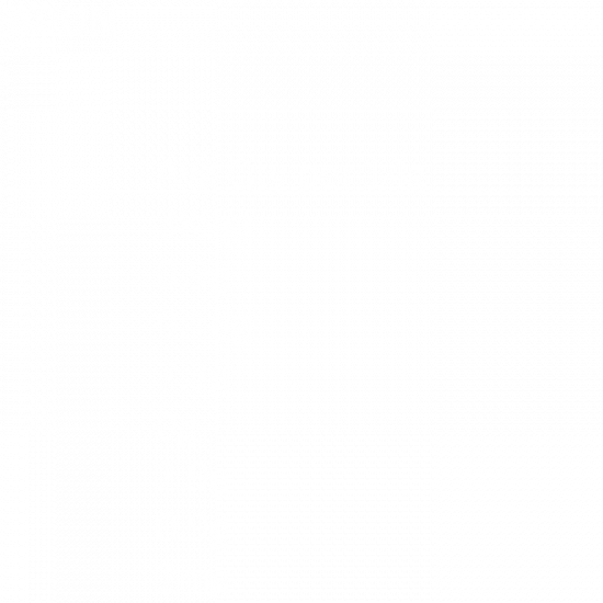 Organic Desiccated Coconut Threads - Ceylon Kokonati