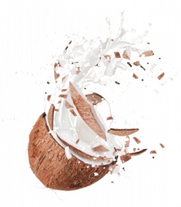 KOKONATI Fresh & Organic coconut products to Auckland | New Zealand