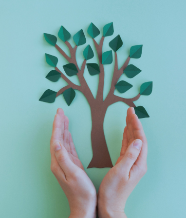 KOKONATI Fresh & Organic coconut products to Auckland | New Zealand