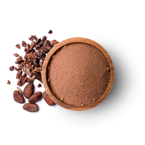 Organic Raw Cacao Powder