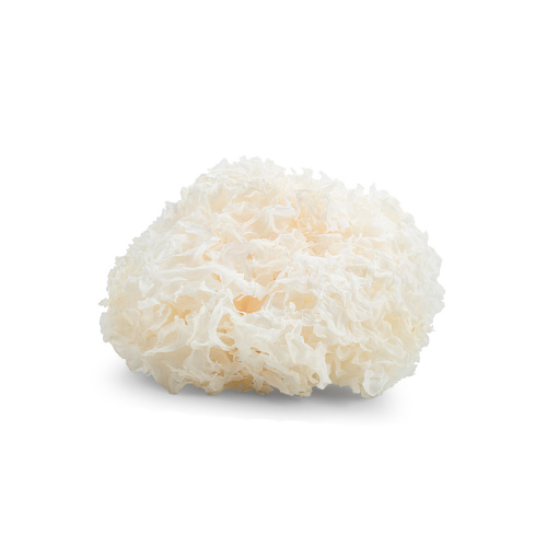 Dried White Snow Fungus